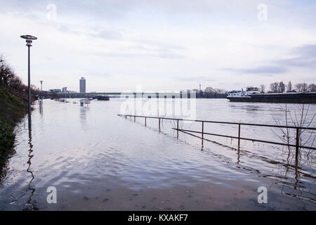 Cologne, Germany. 8th Jan, 2018. Flood of the river Rhine, cathedral ...