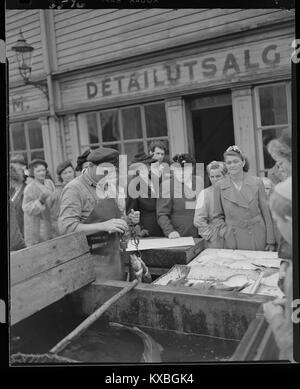 A photograph showing a seafood market in Norway, illustrating fish ...