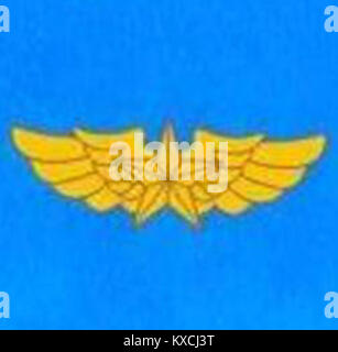 U.S. Air Force personnel and aircraft execute air mobility, combat ...