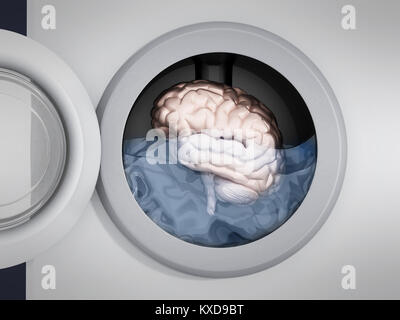 Brain being washed in washing machine. 3D illustration Stock Photo - Alamy