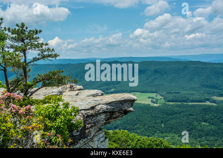 McAfee's Knob Overlook Hiking Stock Photo - Alamy