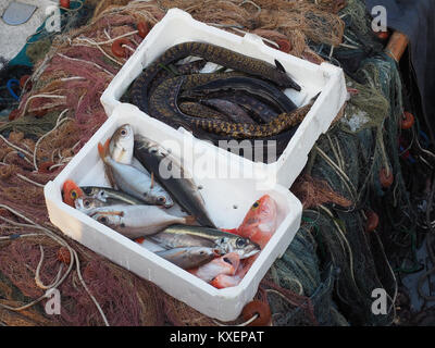 Close-up of fishing nets. Fishing profession. Industrial fishing Stock ...