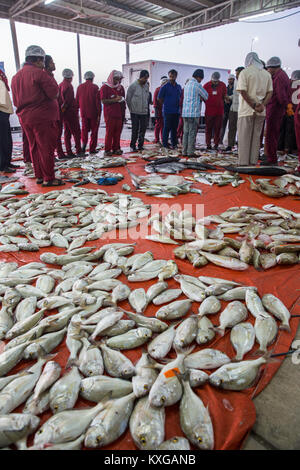Fish Market at Ras Al Khaimah (RAK) (historically Julfar) is the ...
