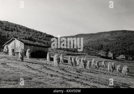 Aksel Pedersen’s house in Misvær, Nordland, Norway, is a historical ...