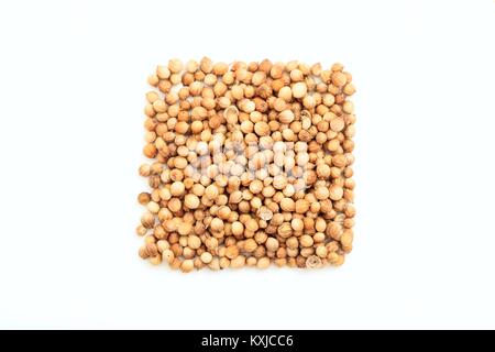 Coriander seeds on white background Stock Photo - Alamy