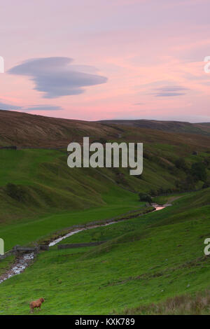 Tan Hill on the Pennine Way, Britain's highest pub Stock Photo - Alamy