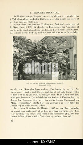This publication from the Danish Botanical Archive focuses on newly ...