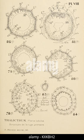 The archives of the Botanical Institute at the University of Liège hold ...