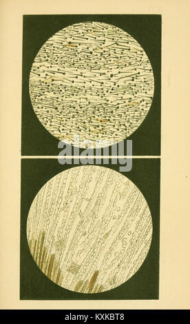 The 'Dutch Archives of Exact and Natural Sciences' from 1875 provides ...
