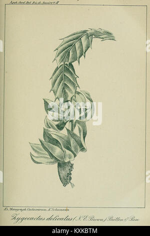 The Archives of the Botanical Garden of Rio de Janeiro, founded in 1915 ...
