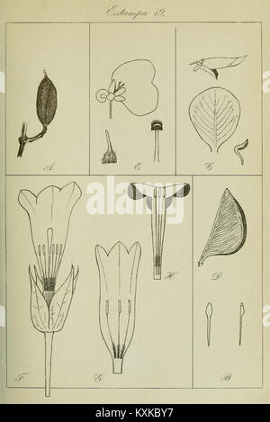 The archives of the Botanical Garden of Rio de Janeiro, established in ...