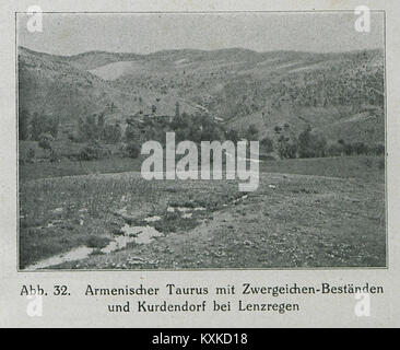 A 1919 photograph by Banse Ewald showing the Upper Tigristal region ...
