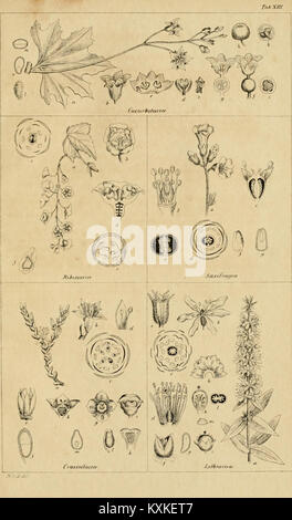 An atlas documenting the natural families of Scandinavian flora ...