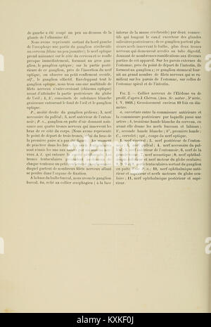 Plate 1 of the comparative anatomy atlas depicts anatomical ...