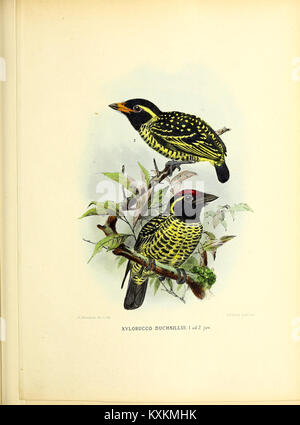 This publication focuses on ornithological observations, particularly ...