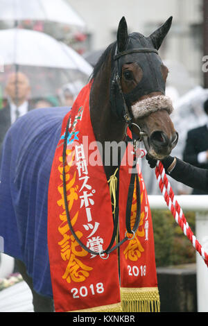 Kyoto, Japan. 8th Jan, 2018. Almond Eye (Keita Tosaki) Horse Racing ...