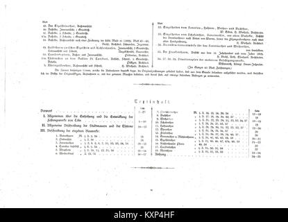 Cölner Thorburgen und Befestigungen 1180 - 1882, Blatt 39 Stock Photo ...