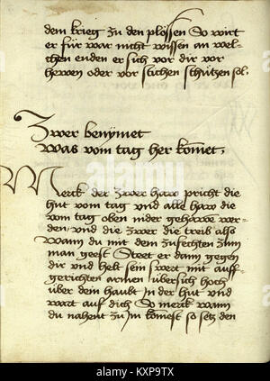 A detailed manuscript page from Codex 1324, showcasing the illuminated ...