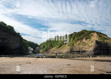 Fossil Coast, Boggle Hole near Robin Hood's Bay Stock Photo - Alamy