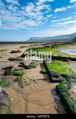 The beach and cliffs at Ravenscar on the North Yorkshire Coast from ...