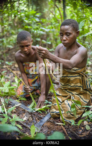 Women from Baka tribe are collecting in the forest some plants for ...