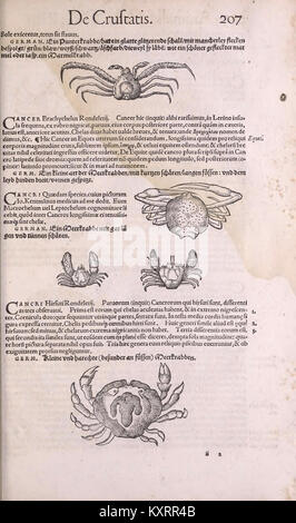 This work by Conrad Gesner, published in 1586, focuses on the history ...