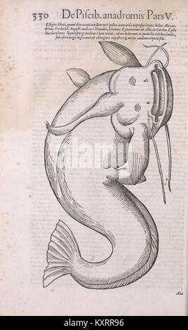 Conrad Gesner's 16th-century work 'Historiae animalium' is the first ...