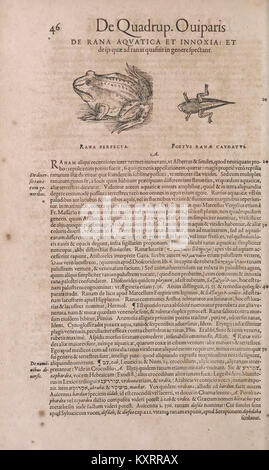 This is a page from 'Historia Animalium' by Conrad Gesner, a ...