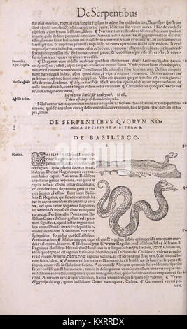 Conrad Gesner, a Swiss physician and naturalist, authored 'Historia ...