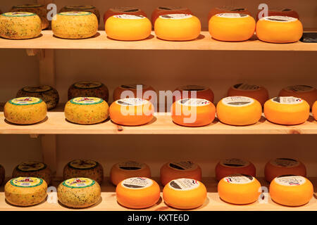 Cheese Factory, Volendam, North Holland, Netherlands, Europe Stock ...
