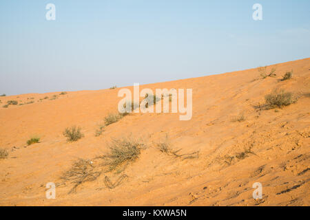 Rub Al Khali desert, Fujairah, United Arab Emirates Stock Photo - Alamy