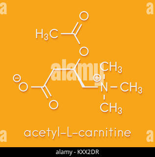 Acetylcarnitine (ALCAR) nutritional supplement molecule. Stylized ...