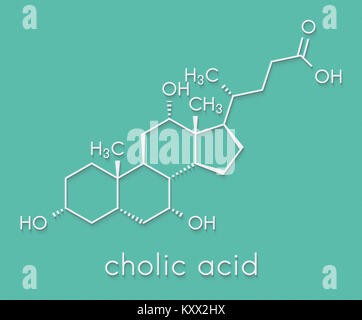 Cholic acid (cholate) molecule. Main bile acid component. Stylized ...