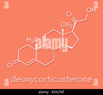 Deoxycorticosterone (DOC) mineralocorticoid hormone molecule. Precursor ...