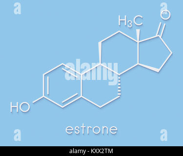 Estrone (oestrone) human estrogen hormone molecule. Stylized skeletal ...