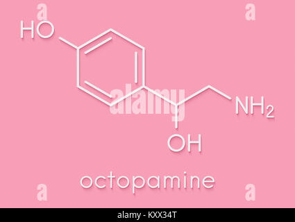 Octopamine stimulant drug molecule (sympathomimetic agent). Stylized ...