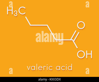 Valeric acid, pentanoic acid or valerate molecule. Skeletal chemical ...