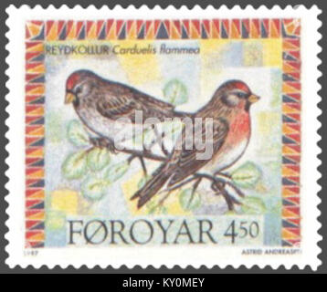 This image features the bird species Carduelis flammea, also known as ...