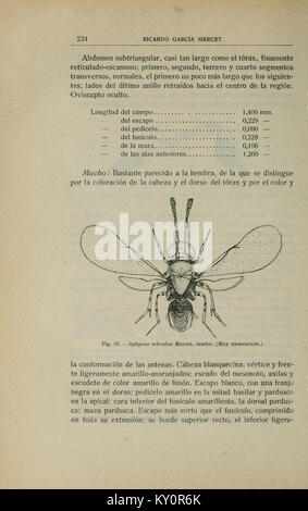 This zoology text provides detailed descriptions of bird anatomy ...