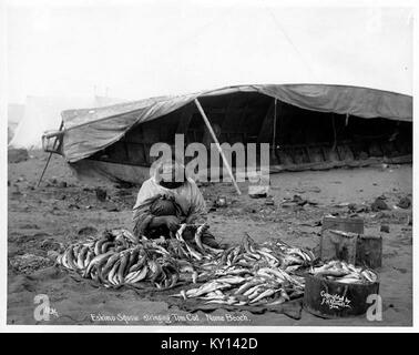 This image shows an Eskimo Umiak, a traditional boat made of wood and ...