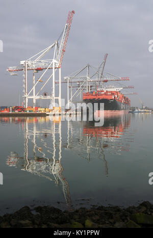 The container ship Al Mashrab unloads her cargo at Southampton ...