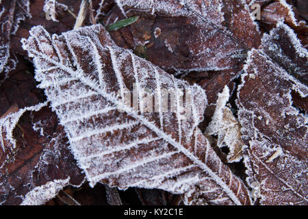 Thomastown Park, Merthyr Tydfil, South Wales, UK. 24 January 2021. UK ...