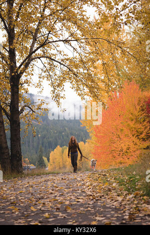 Beautiful fashionable woman in autumn park Stock Photo - Alamy