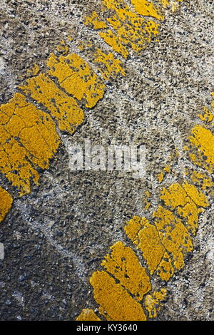Yellow lines on cracked asphalt Stock Photo - Alamy