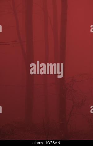 Fantasy. Monochrome. Dark red night. Young sensual woman in neon light ...