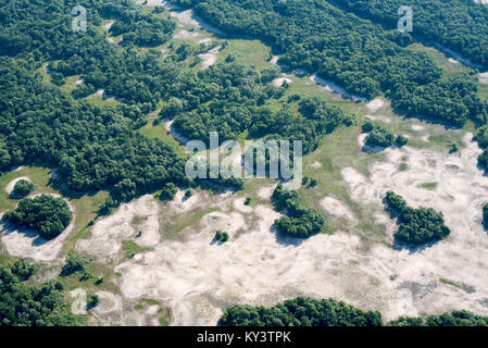 Aerial View Over Letea Forest in the Danube Delta, Romania, the forest ...