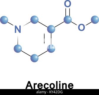 Arecoline areca nut stimulant compound, chemical structure. Skeletal ...
