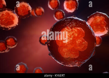 3D illustration Early stage embryo. Morula is an early stage embryo ...