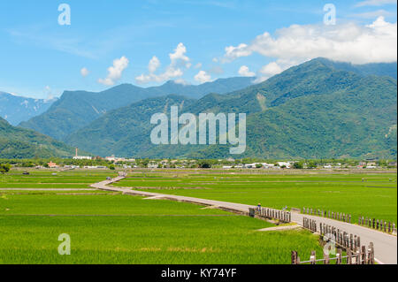 Paddy rice field in Taitung of Taiwan Stock Photo - Alamy