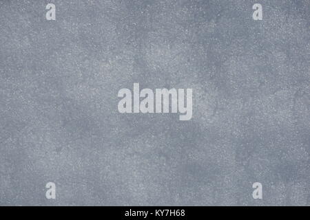 Abstract nature background. Close-up green oleander leaves with soft ...